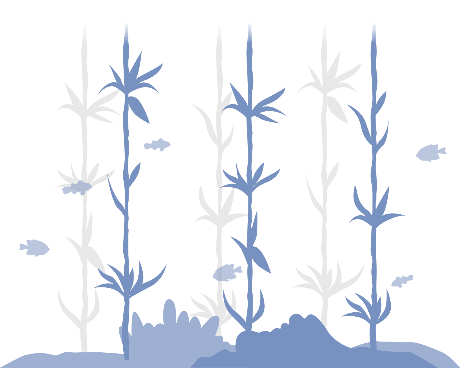 AI Models & Automation | Reef Support